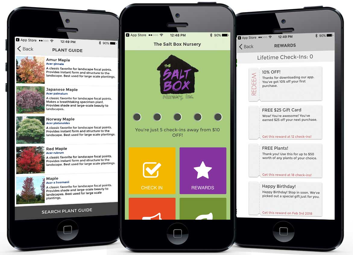 Perennials – Salt Box Nursery